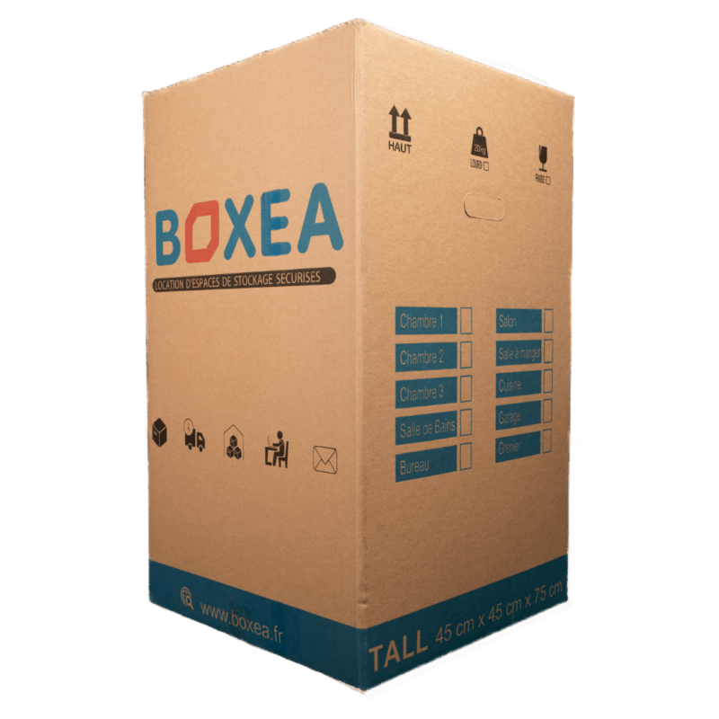 MINI CARTON - BOXEA